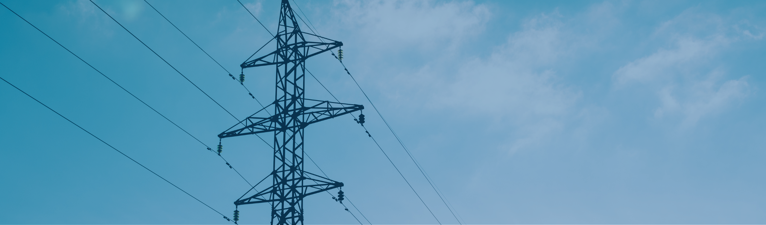 Japan Electric Power